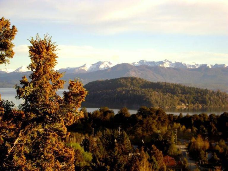 1 - ¿Es posible una recuperación de la "Reserva Histórica Ecológica ...